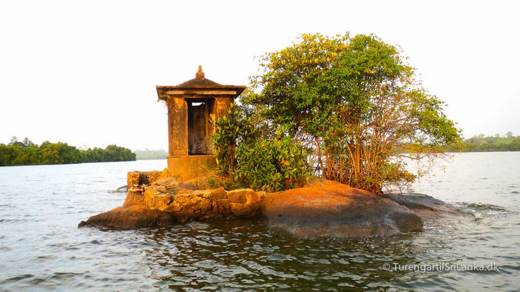 Madu Ganga River Safari - Turen Går Til Sri Lanka